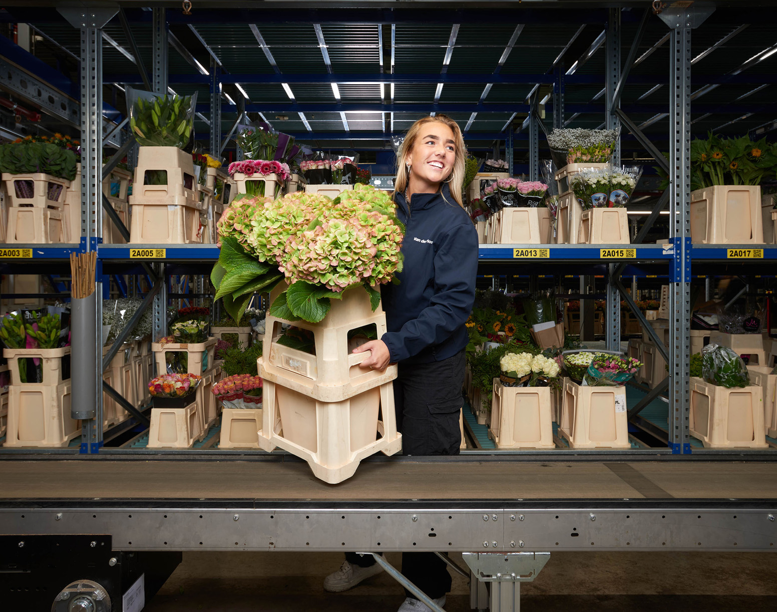 Van der Plas | Marginpar